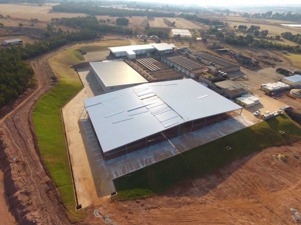 Reference story Country Mushrooms - BVB Substrates