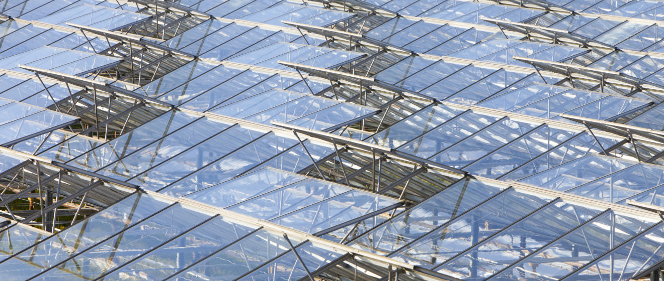 Use the best to grow the best! - BVB Substrates