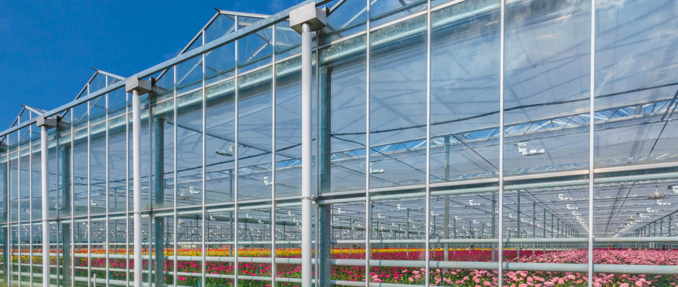 Security of raw materials - BVB Substrates