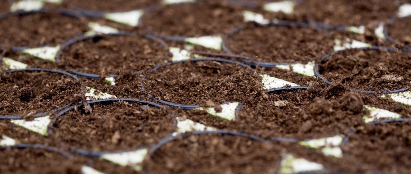 What is Responsibly Produced Peat? - BVB Substrates