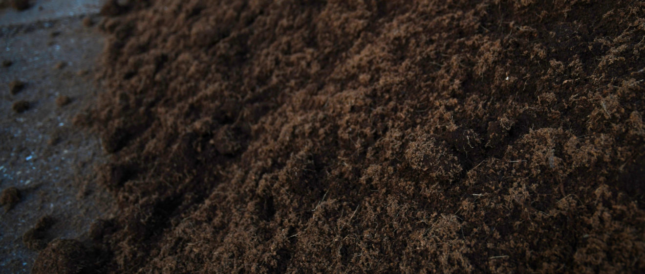 Why coir is used in growing media - BVB Substrates