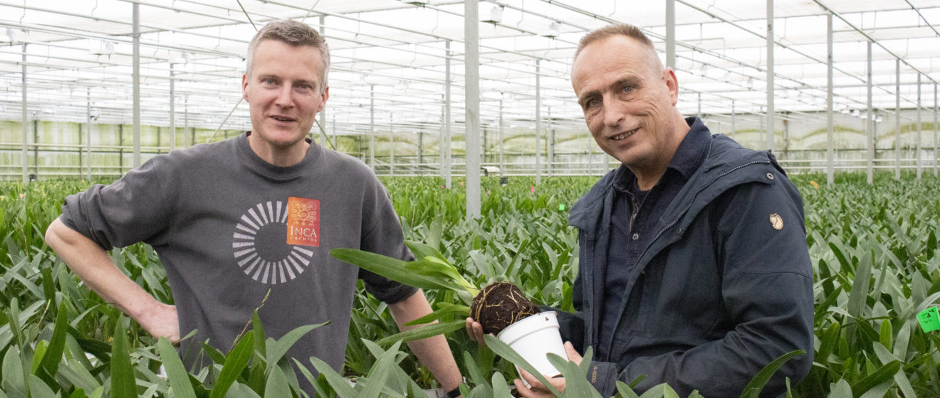 Interview Orchid grower – Inca Orchids - BVB Substrates