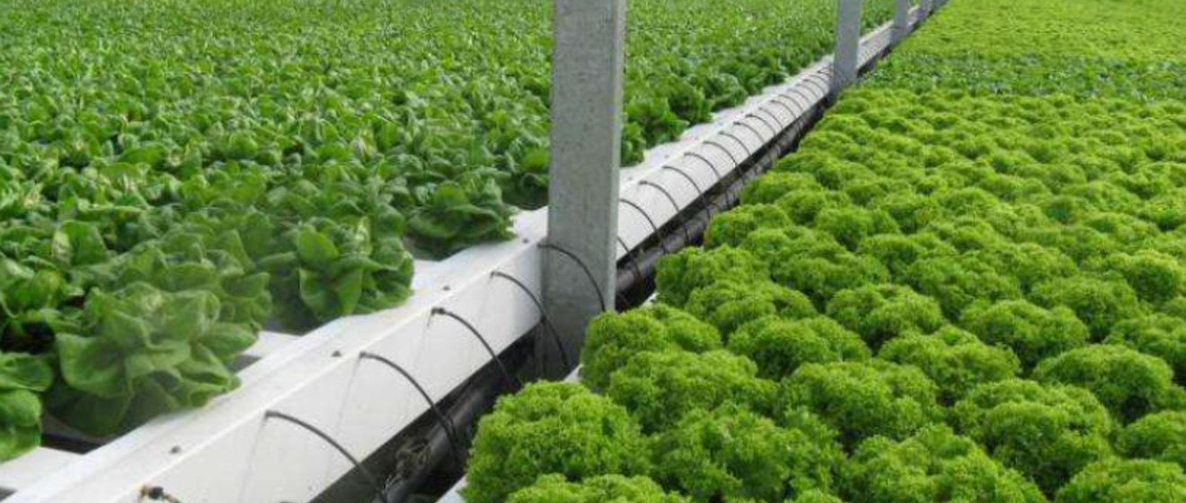 Evaluate and conclude - BVB Substrates