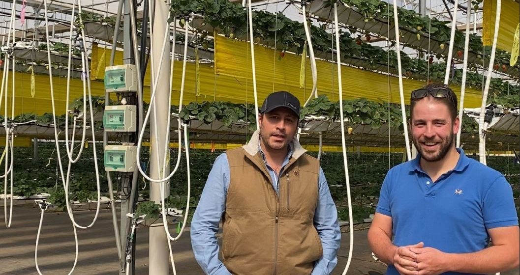 Interview Berry Hill - BVB Substrates