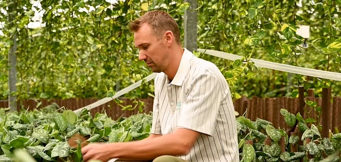 Interview: CoBaplant - BVB Substrates